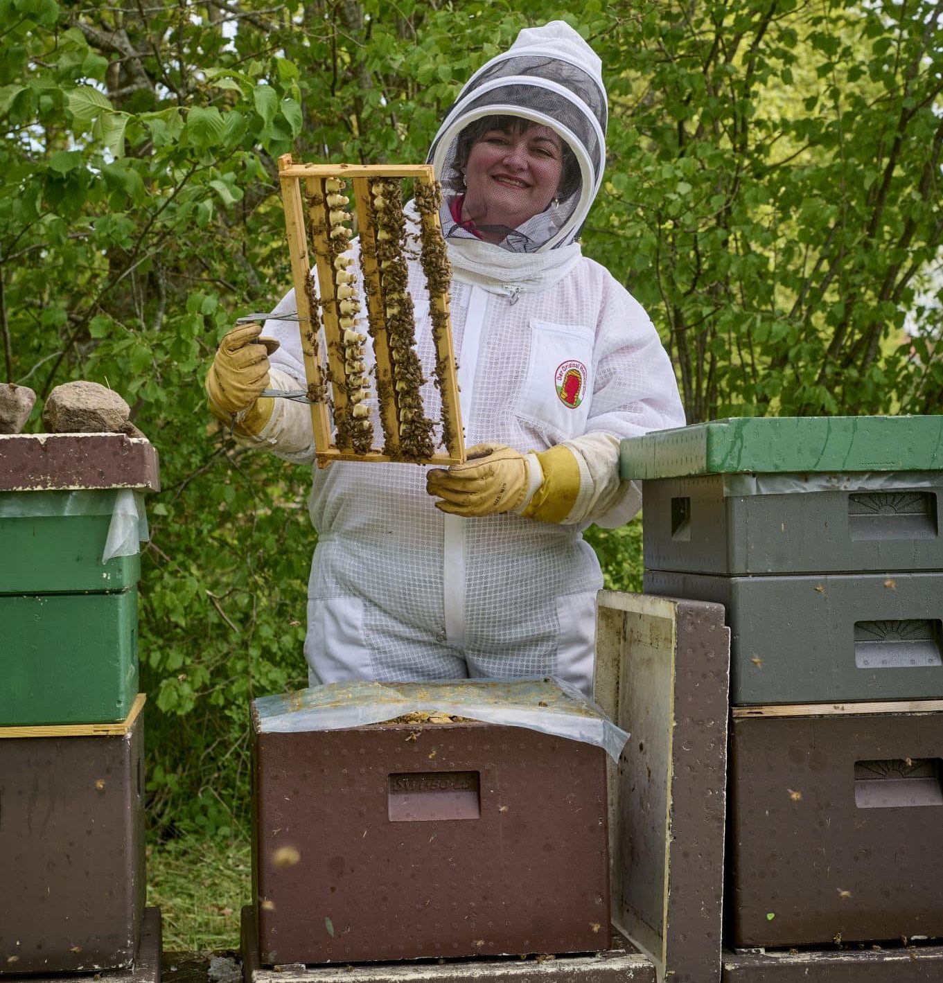 A Swedish Bee Queen - United Nations Western Europe