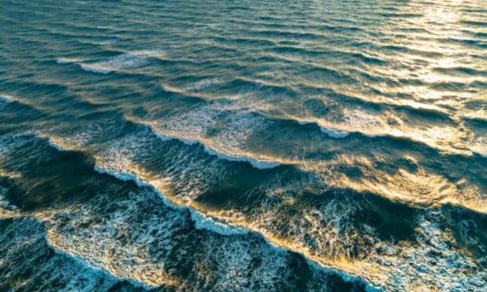 Climate: tropicalisation of the North Sea